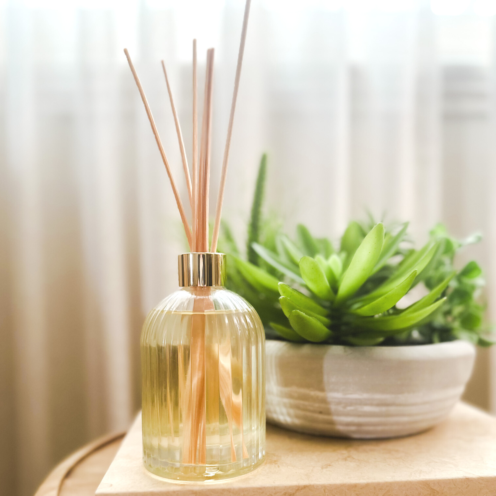 Reed Diffusers – Georgie Bloom
